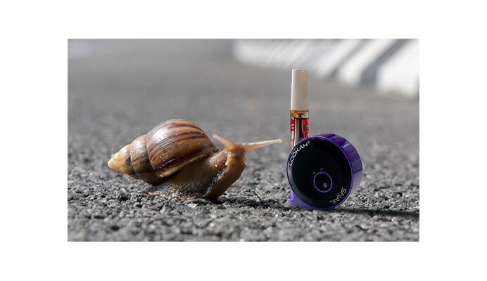 Snail 2.0 | Lookah
